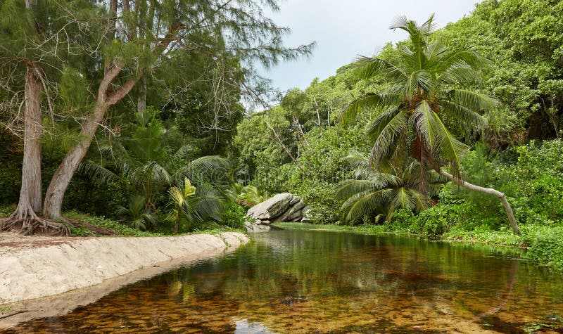 Mountain River in the Tropics Stock Photo - Image of praslin, resort ...