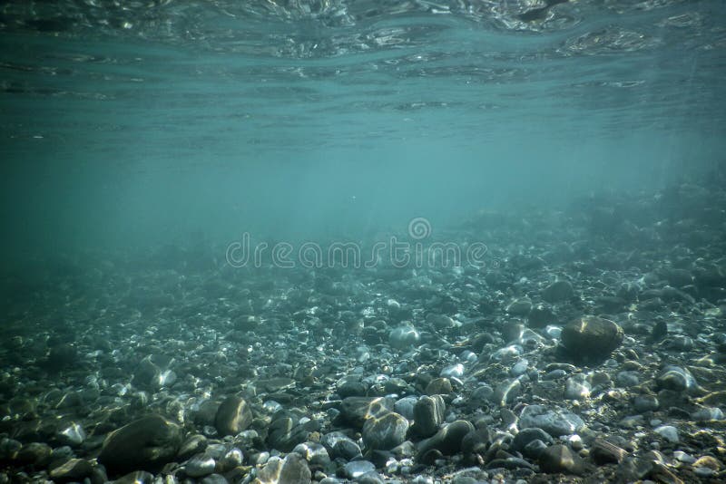 Mountain River Underwater Rocks on a Shallow Riverbed Stock Photo ...