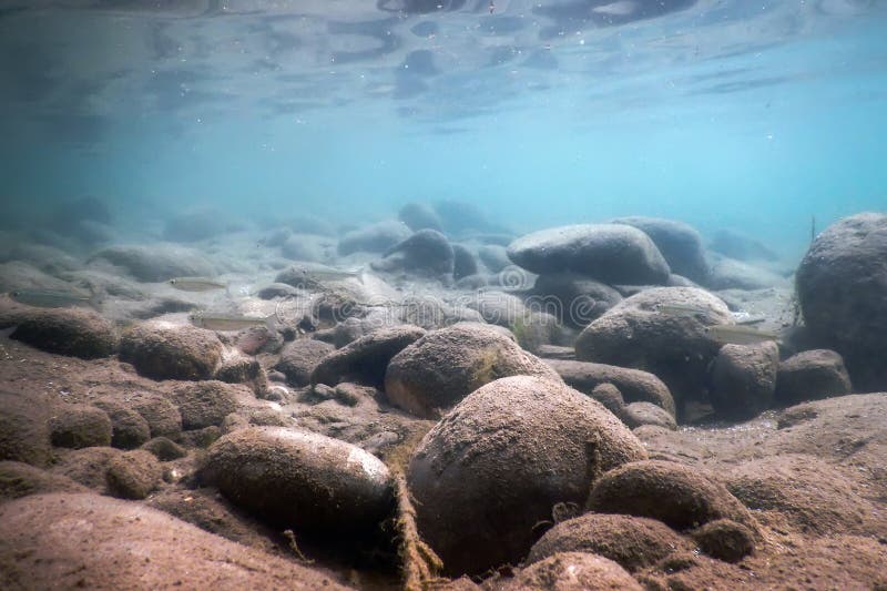 Mountain River Underwater Rocks on a Shallow Riverbed Stock Photo ...