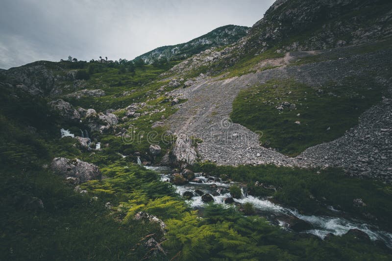 Mountain River Valley Path Landscape Stock Photo - Image of tree ...