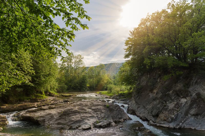 Mountain River with Waterfall and Forest on the Banks Backlit Stock ...