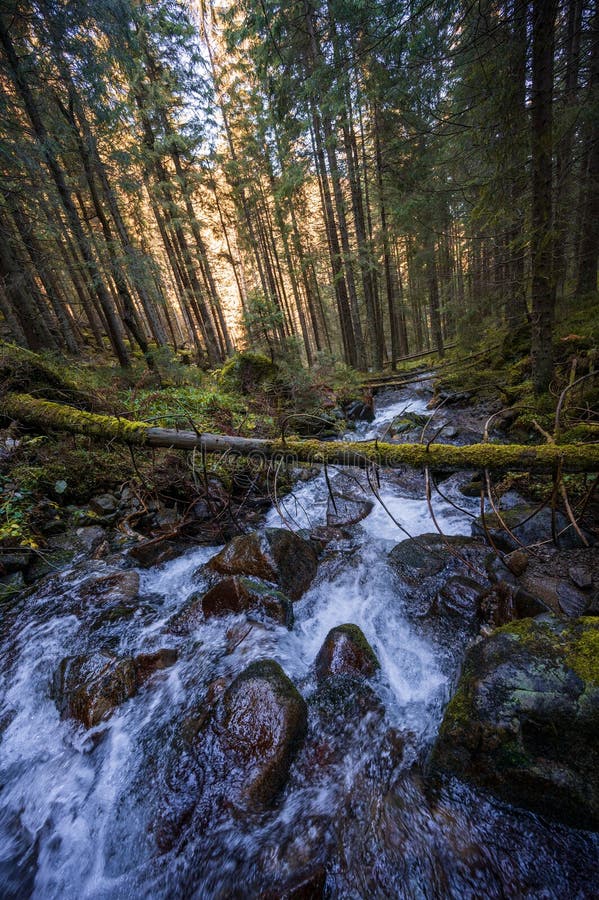 Mountain River with Waterfall. River Stream Water Landscape in Forest ...