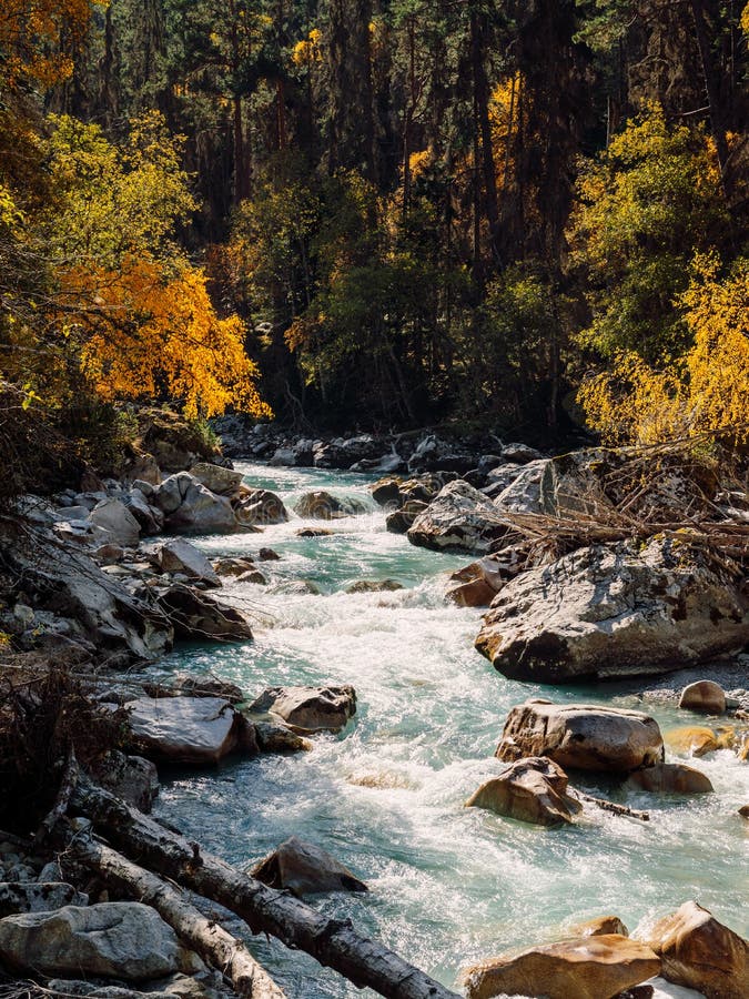 Mountain River in Wild Forest. Mountain Landscape with River Stock ...