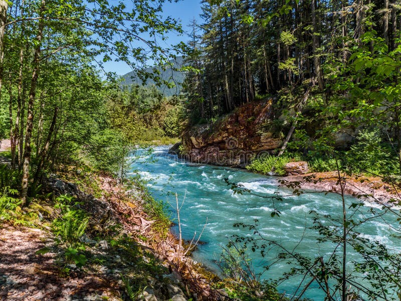 Mountain River with Wild Rapids Stock Photo - Image of travel, rapids ...