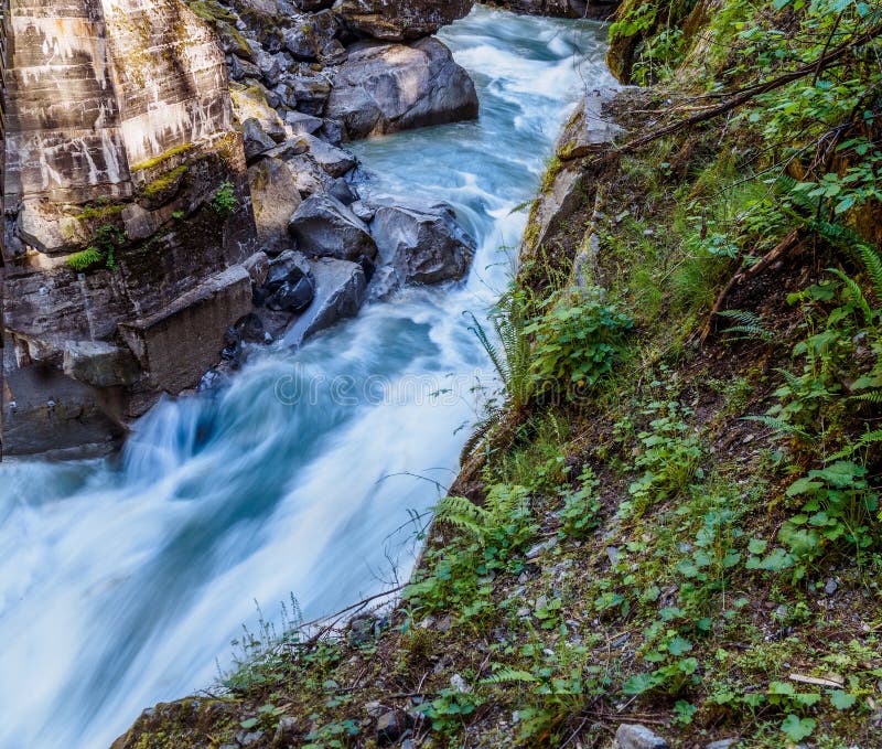 Mountain River with Wild Rapids Stock Photo - Image of travel, rapids ...