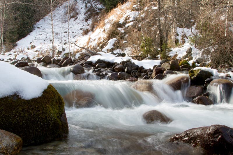 101 Almarasan Stock Photos - Free & Royalty-Free Stock Photos from ...