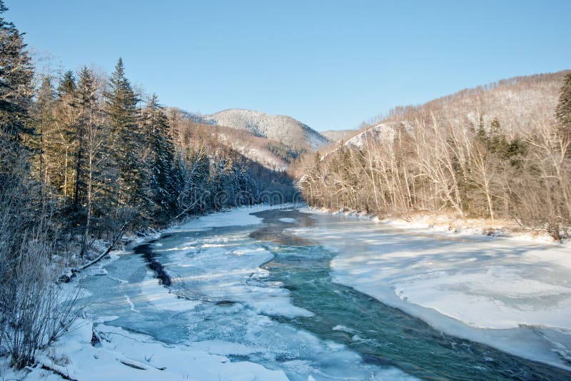 Winter taiga forest stream stock image. Image of scenery - 28248017
