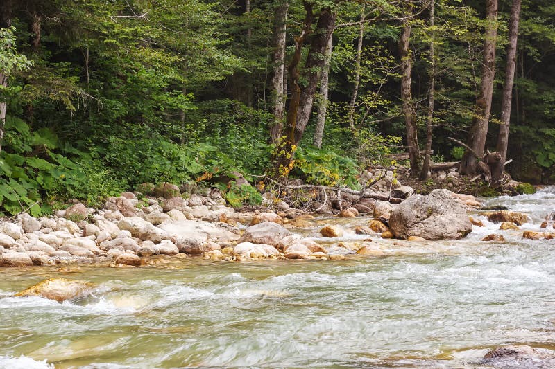 Mountain Rivers, Sources of Ecologically Clean Resources of Water ...