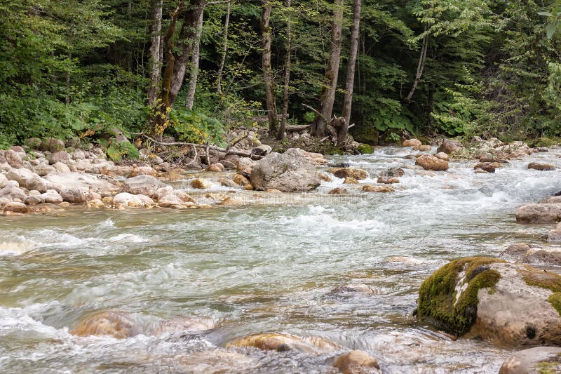 Mountain Rivers Formed from Glaciers are Sources of Clean Ecological ...