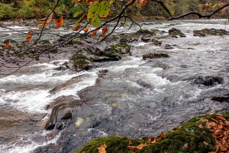 With Sources of Clean and Environmental Water are the Rivers ...