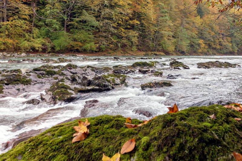 Mountain Rivers, Sources of Clean Water, Originating from Glaciers ...
