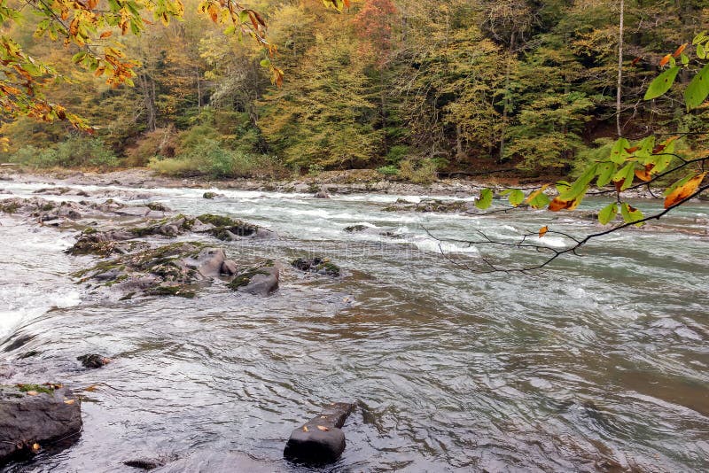 Mountain Rivers, Sources of Clean Water, Originating from Glaciers ...