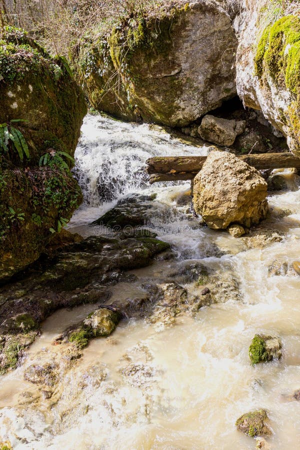 Mountain Rivers, Sources of Clean Water Reserves on the Planet, on a ...