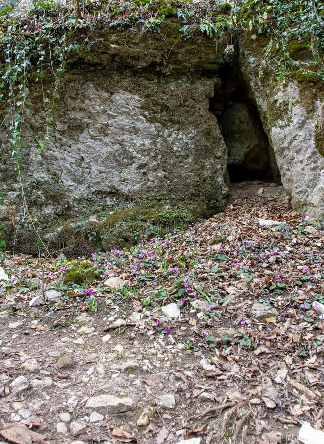 Mountain Rivers are the Sources, a Spring of Clean Drinking Water in ...