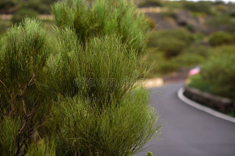 Mountain road, aerial view stock image. Image of scenery - 97278021