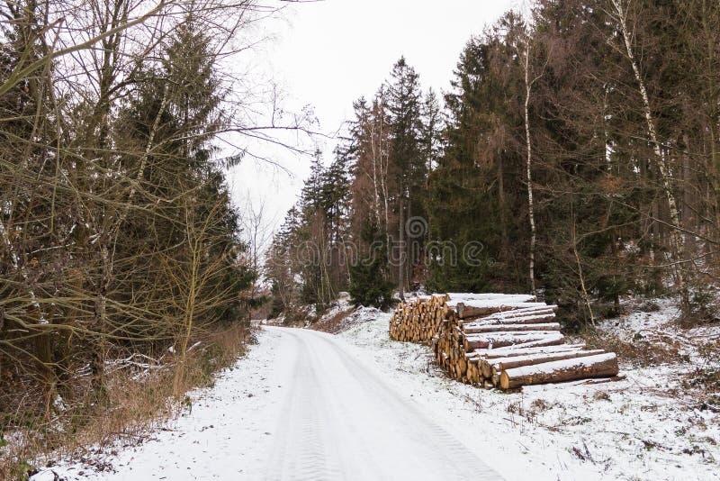 Mountain Road and Cut Lumber Covered in Snow Stock Photo - Image of ...