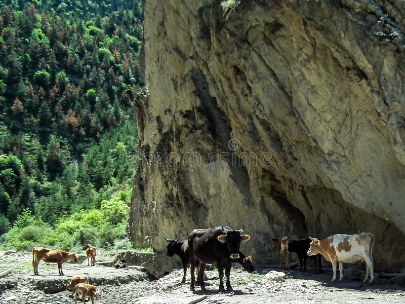 Mountain Road in Deep Canyon between Two Cliffs Under Blue Sky Stock ...