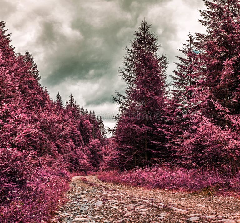 Mountain Road through the Forest - Infrared Filter. Stock Photo - Image ...