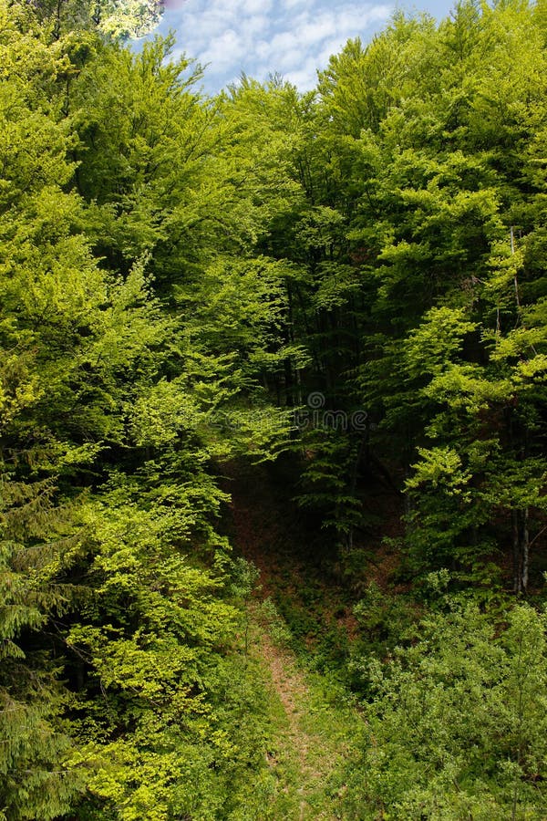Mountain Road Landscape from Above in Summer Stock Image - Image of ...