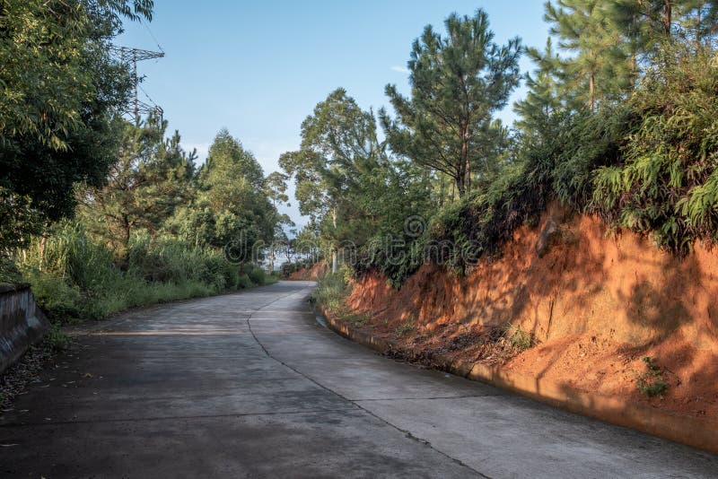 On the Mountain Road in the Morning, the Sun Shines from the Forest ...