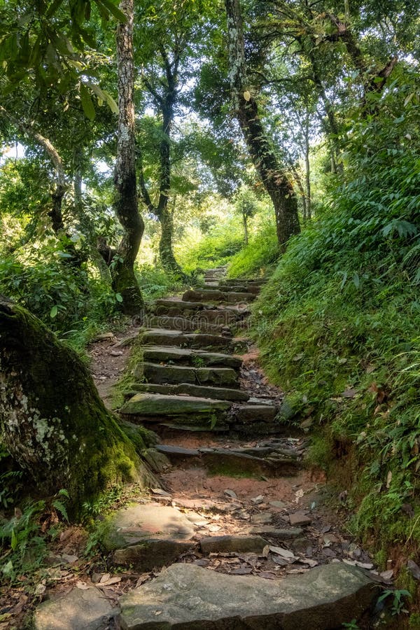 A Mountain Road with Steps Made of Natural Stones, Going among the ...