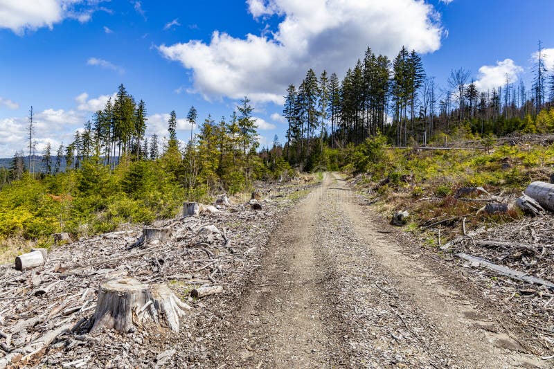 Mountain Road in Sumava National Park, Czech Republic Stock Photo ...