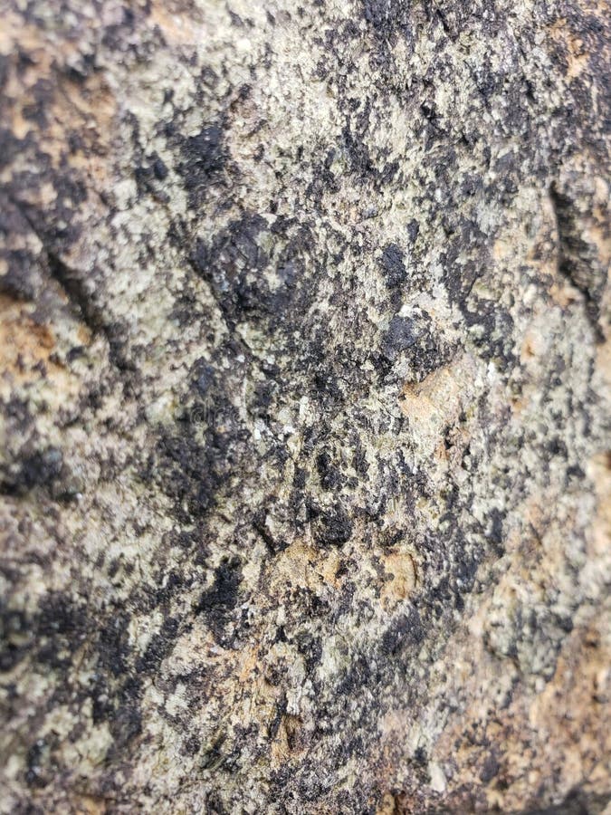 Mountain rock closer stock photo. Image of rock, mountain - 276634642