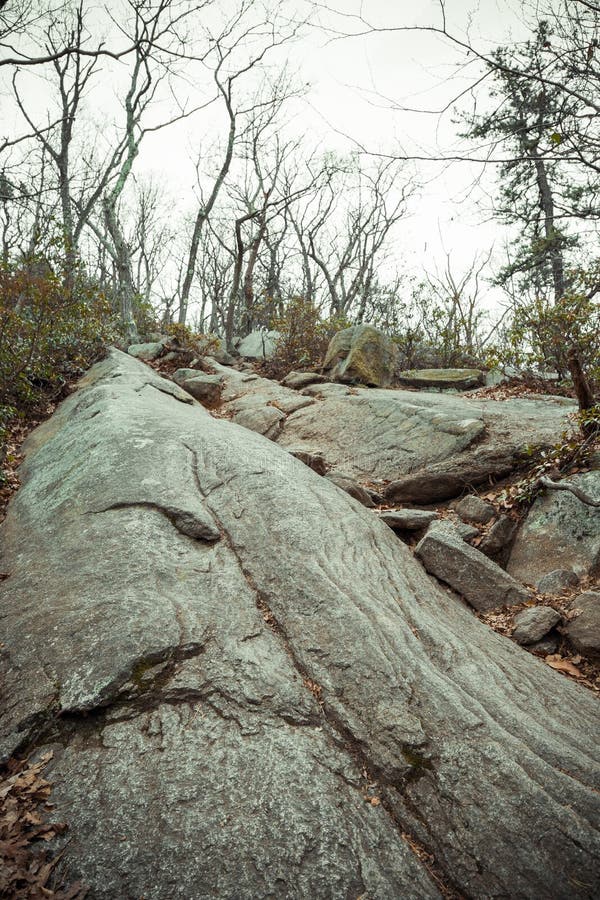 Mountain Rock Hiking Trail Boulder with Upright Scale Stock Photo ...