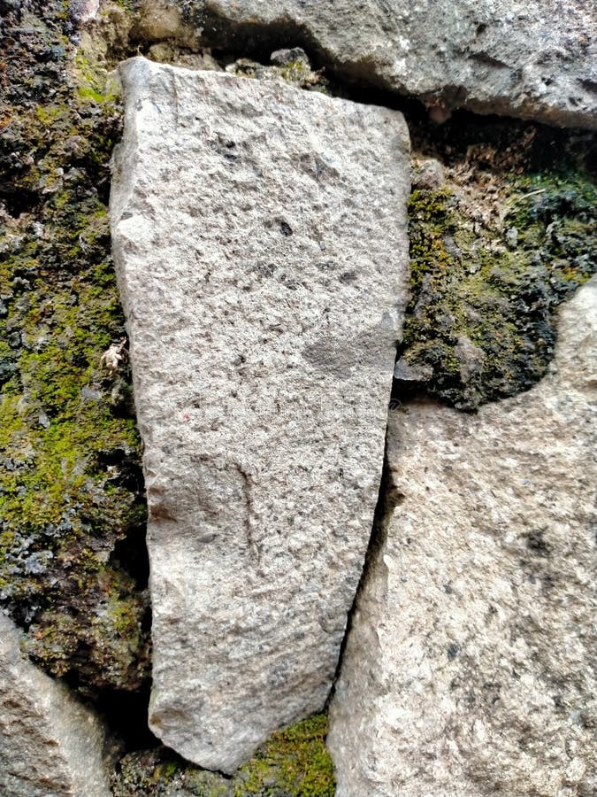 Mountain rock with moss stock photo. Image of moss, tree - 269412900