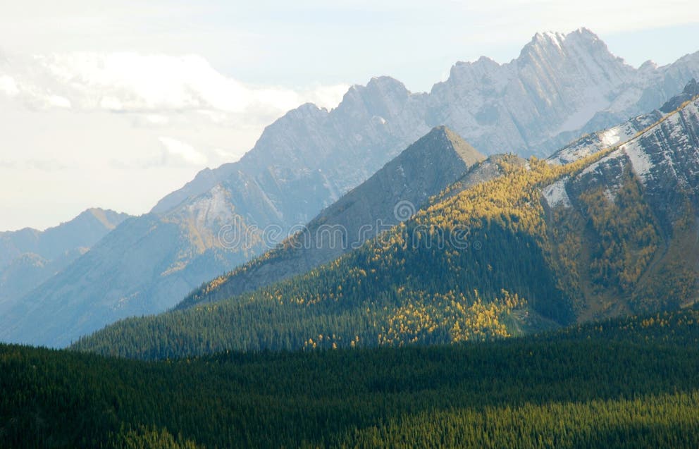 Mountain in Rockies stock photo. Image of bark, tree, canadian - 7199698