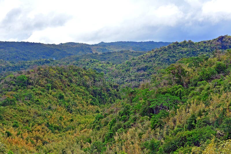 Mountain and Rocks Plus Trees Growing Stock Image - Image of rock ...