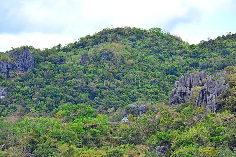 Mountain and Rocks Plus Trees Growing Stock Photo - Image of georeserve ...