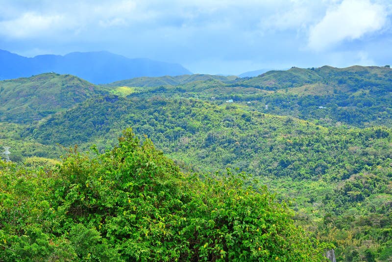 Mountain and Rocks Plus Trees Growing Stock Photo - Image of leaves ...