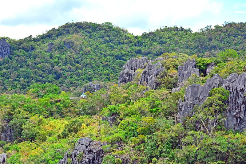 Mountain and Rocks Plus Trees Growing Stock Image - Image of leaves ...