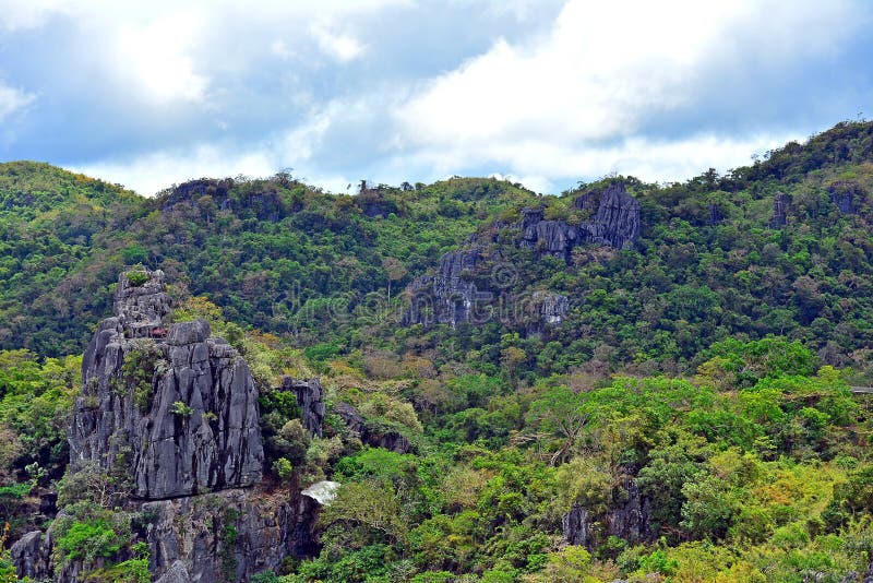 Mountain and Rocks Plus Trees Growing Stock Image - Image of georeserve ...