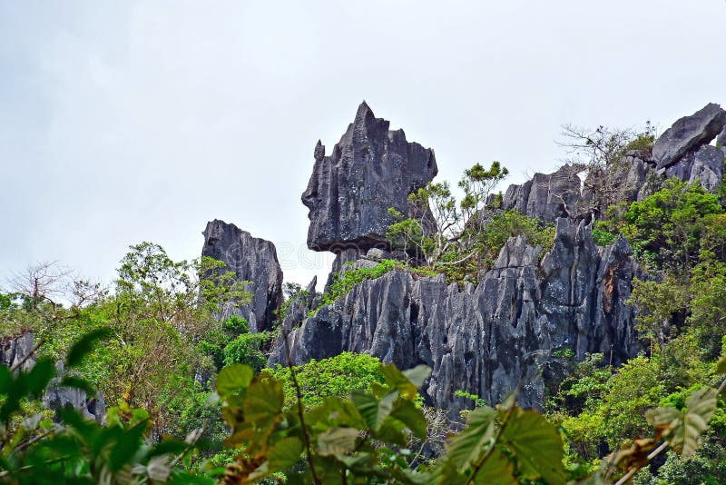 Mountain and Rocks Plus Trees Growing Stock Image - Image of trip, asia ...
