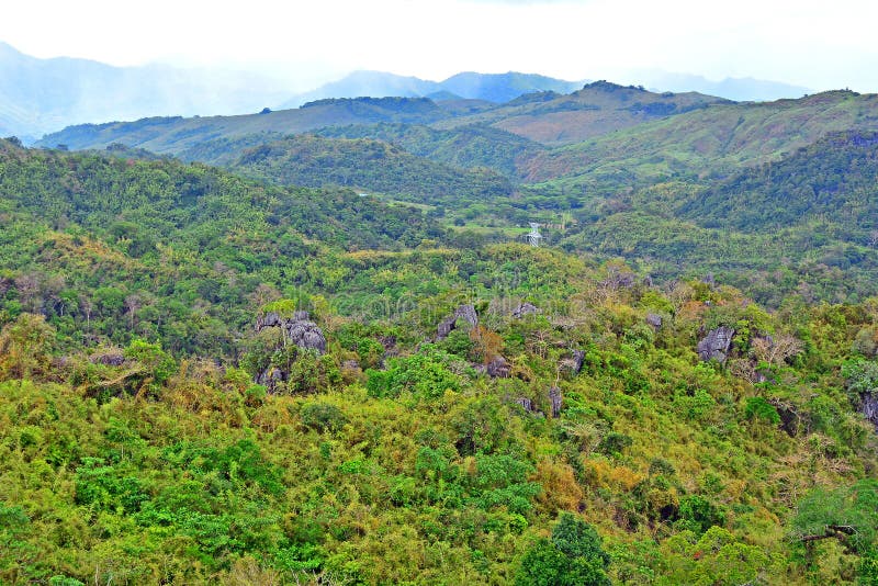 Mountain and Rocks Plus Trees Growing Stock Image - Image of tour, rock ...