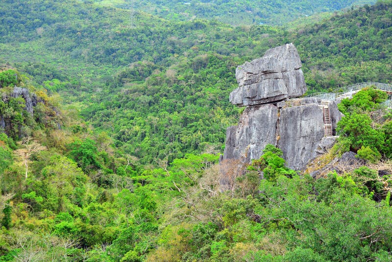 Mountain and Rocks Plus Trees Growing Stock Photo - Image of georeserve ...