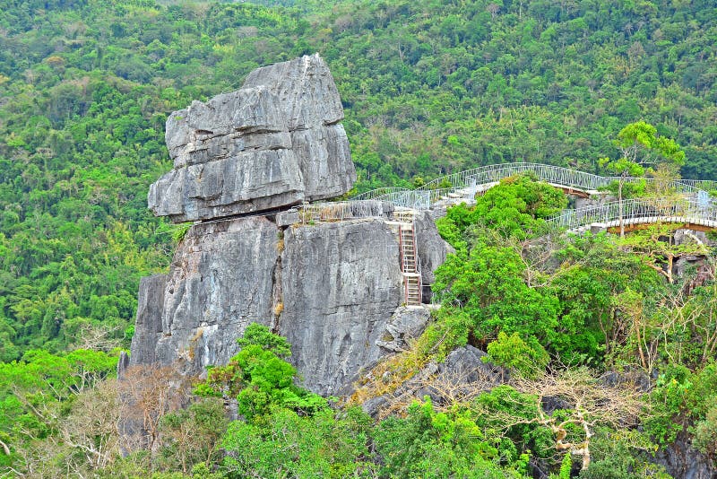 Mountain and Rocks Plus Trees Growing Stock Image - Image of leaf ...
