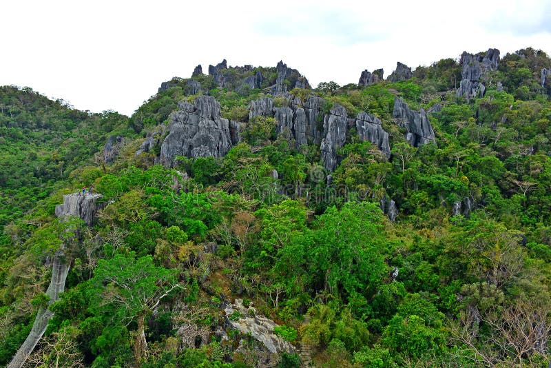 Mountain and Rocks Plus Trees Growing Stock Image - Image of green ...