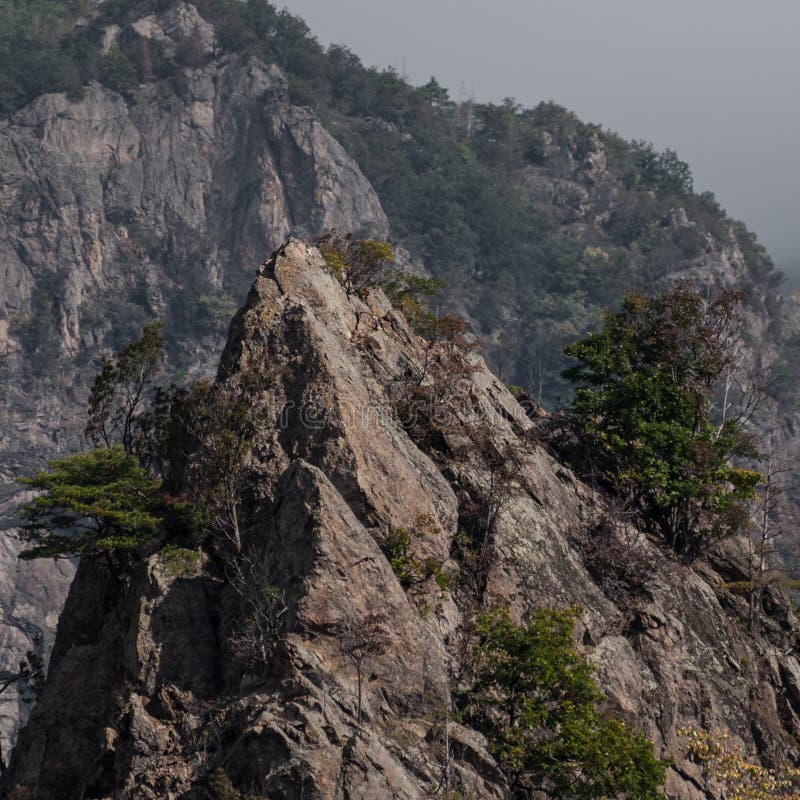 Mountain Rocks and Some Trees Stock Image - Image of nature, shadow ...
