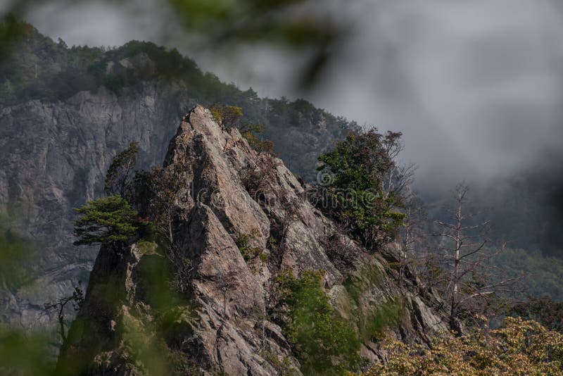 Mountain rocks and trees stock photo. Image of naked - 46137116