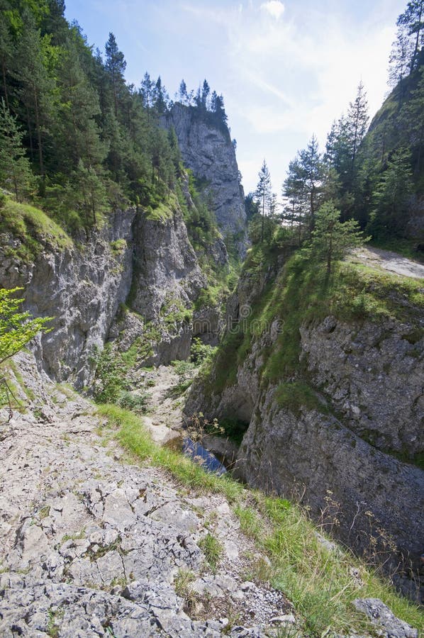 Mountain rocks valley stock image. Image of coniferous - 63196631