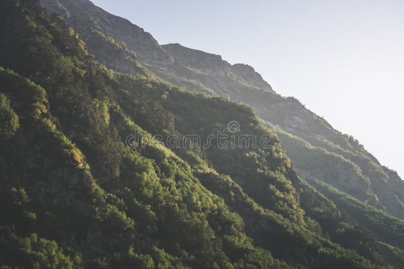 Mountain Rocky Slope Overgrown with Bushes and Trees in the Mountains ...