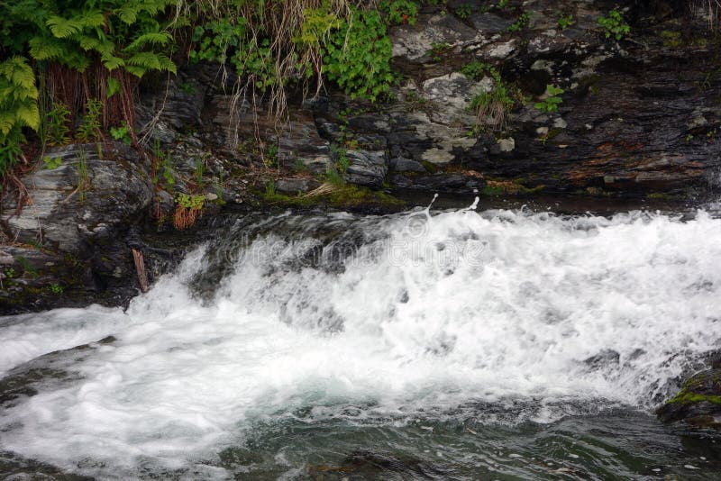 Mountain Run-off in the Spring Stock Image - Image of picturesque ...
