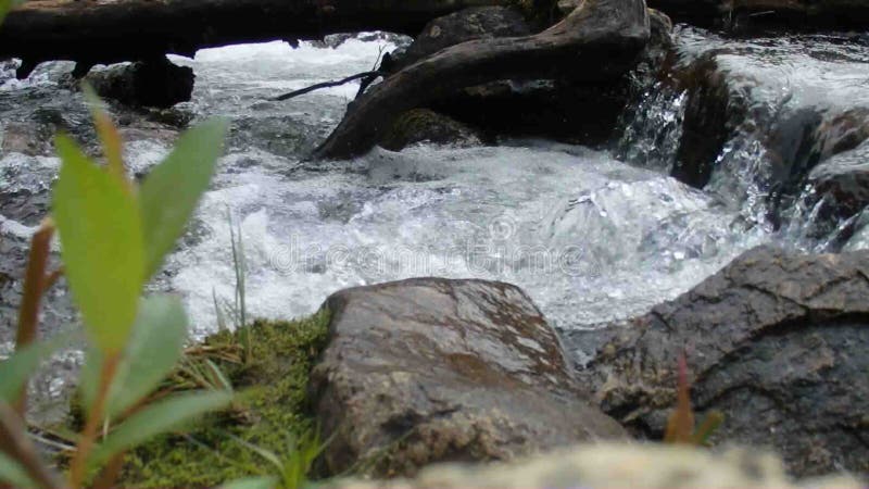 Mountain Run-off in the Springtime Stock Footage - Video of water ...
