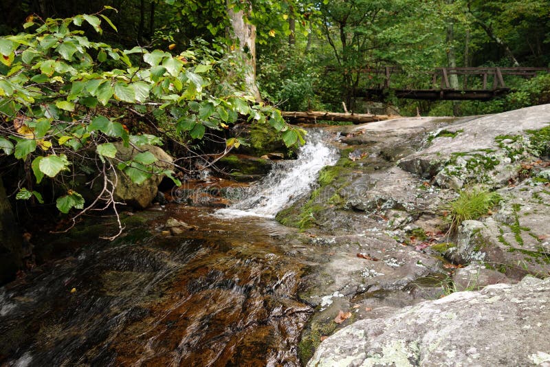 Mountain Run-off in the Springtime Stock Image - Image of clean, wooden ...