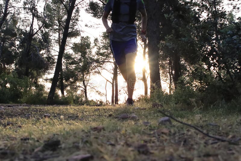 Mountain runner stock image. Image of clothing, forest - 219785149