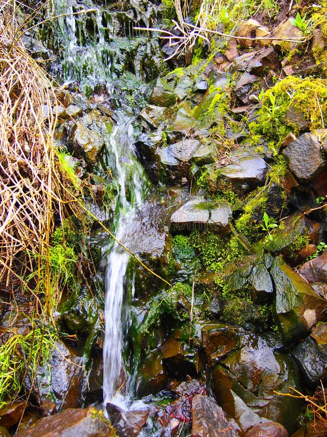 Mountain Runoff stock photo. Image of flow, stream, lovely - 415354