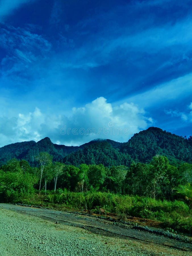 Xsis Stock Photos - Free & Royalty-Free Stock Photos from Dreamstime